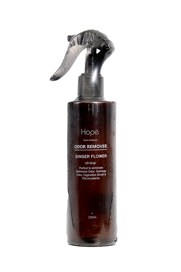 Hope Scent Solution Odor Remover Ginger 250ml - LifePlus