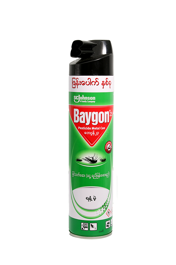 Baygon Inset Killer Spray Odorless 600ml - LifePlus