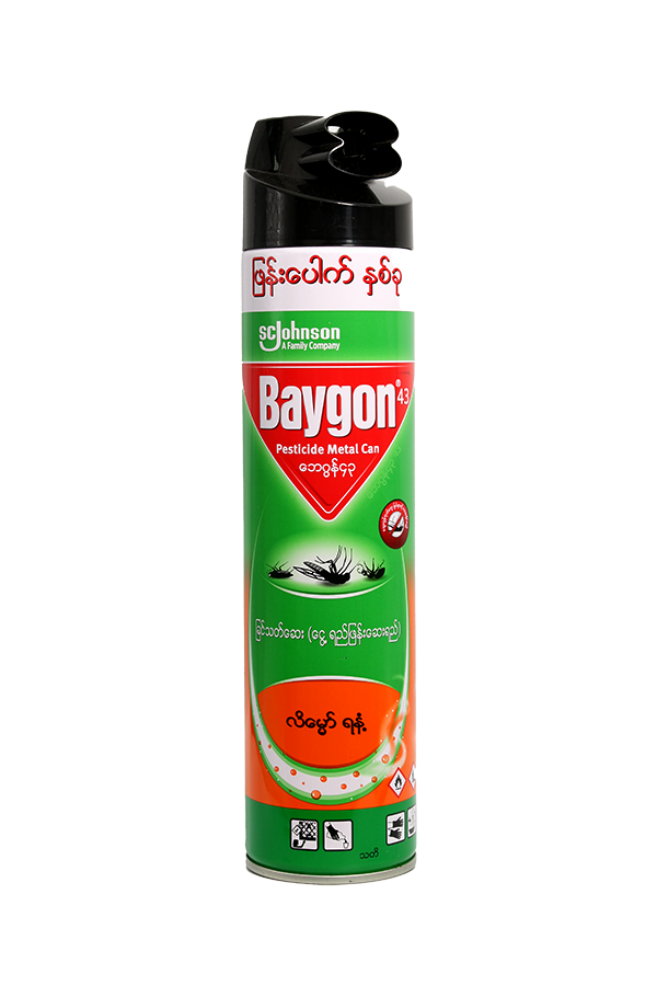 Baygon Inset Killer Spray Blassom 600ml - LifePlus