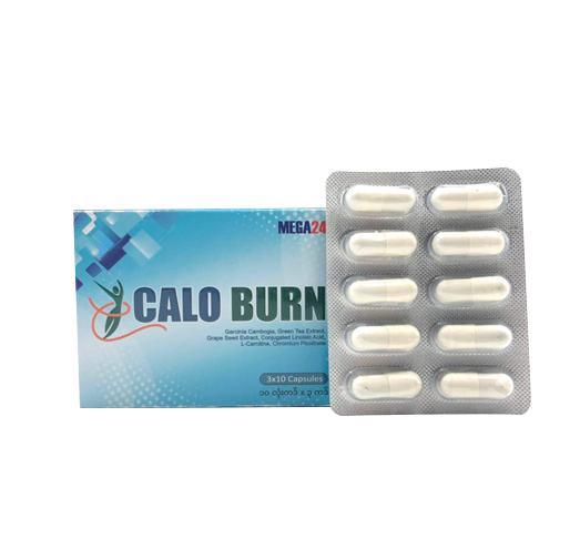 CALO BURN 10'S - LifePlus