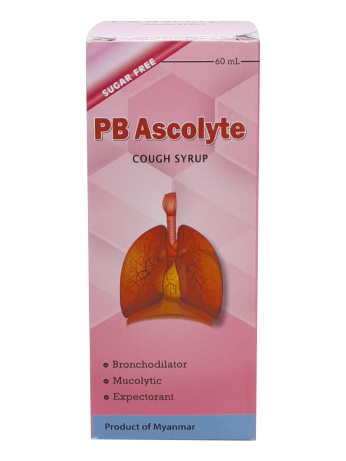 PB Ascolyte 60ml - LifePlus